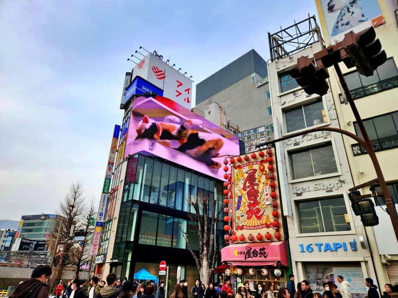 Tokyo: Private & Customizable Tour - All-in-One Experience - Final Thoughts