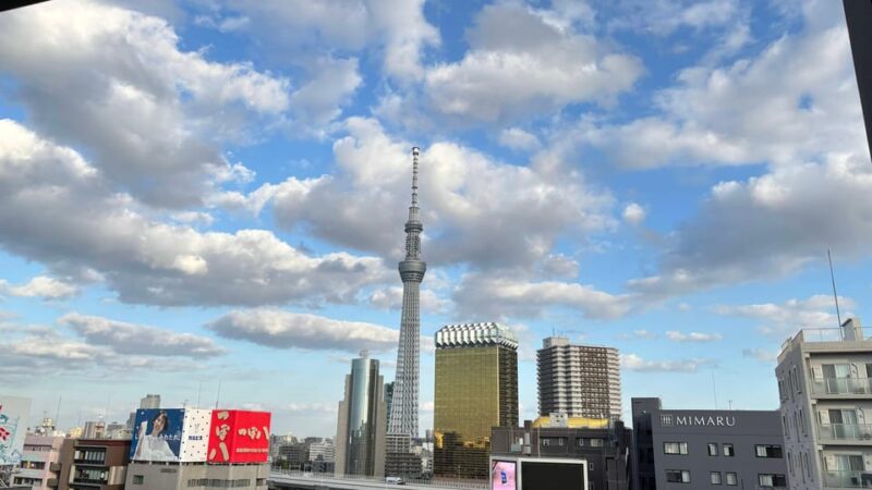 Tokyo: Private Customizable Tour With a Local Guide - Must-See Attractions and Hidden Gems