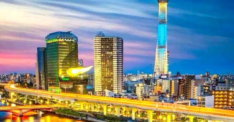 Tokyo Private Customizable Tour With a Local Guide - Key Points