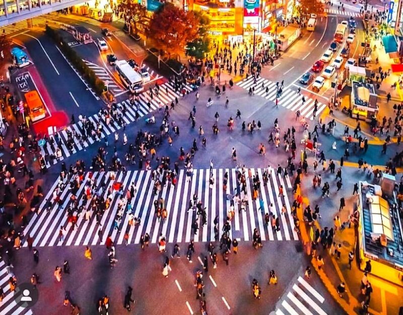 Tokyo Private Customizable Tour With a Local Guide - Experience and Activities