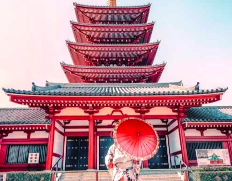 Tokyo Private Customizable Tour With a Local Guide - Important Information