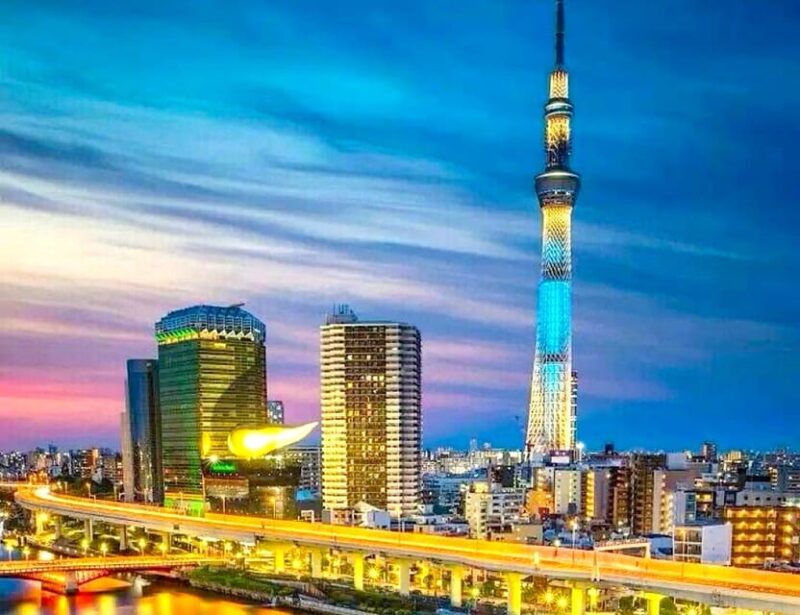 Tokyo Private Customizable Tour With a Local Guide - Pickup and Transportation