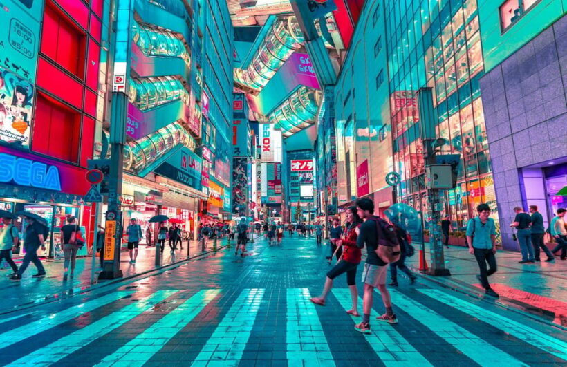 Tokyo Private Customize Tour With English Speaking Driver - Who Will Love This Tour?