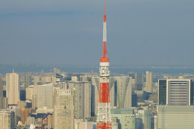 Tokyo Private Day Tour by Car With English Speaking Driver Guide - Included Amenities