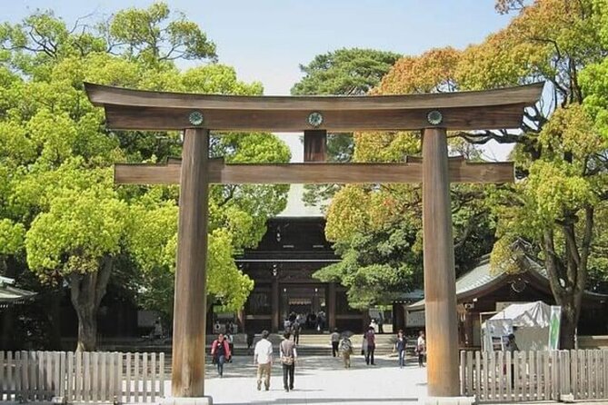 Tokyo Private Day Tour by Car With English Speaking Driver Guide - Tour Accessibility and Participation
