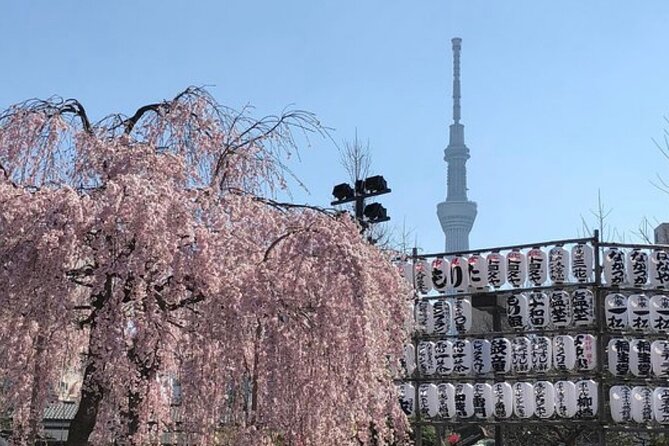 Tokyo Private Day Tour by Car With English Speaking Driver Guide - Senso-ji Temple