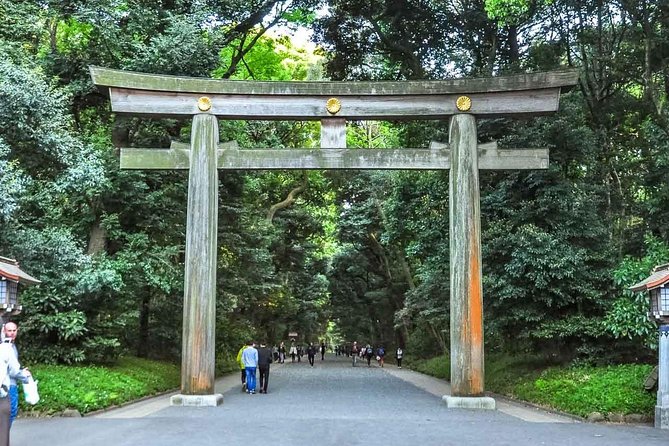 Tokyo Private Day Trip - Enjoy Your First-Time Visit to Tokyo! - Guest Experiences and Feedback