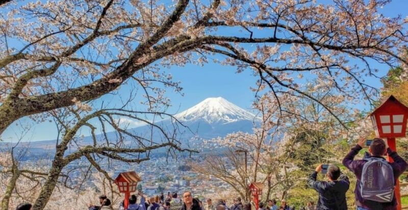 Tokyo: Private Day Trip to Mount Fuji and Hakone - Key Points