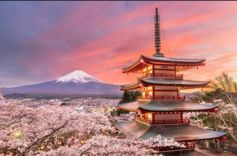 Tokyo: Private Day Trip to Mount Fuji and Hakone - Inclusions and Exclusions