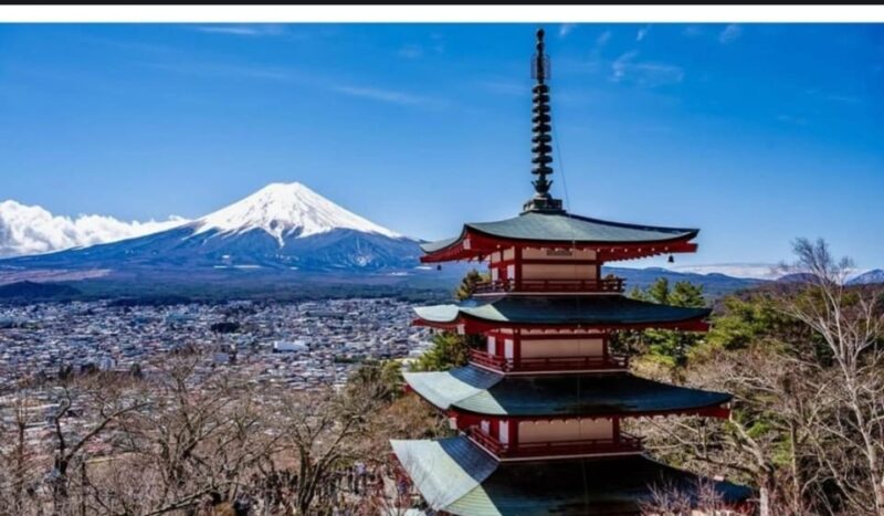 Tokyo: Private Day Trip to Mount Fuji and Hakone - Preparation and Restrictions