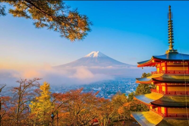 Tokyo: Private Day Trip to Mount Fuji and Hakone - Attraction Experiences