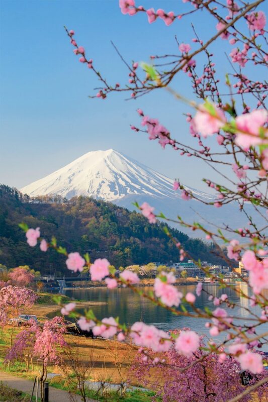 Tokyo: Private Day Trip to Mount Fuji and Hakone - Frequently Asked Questions