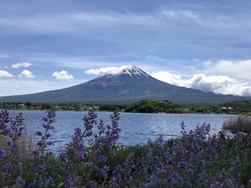 Tokyo: Private Day Trip to Mount Hakone and Lake Ashi - Trip Overview and Pricing