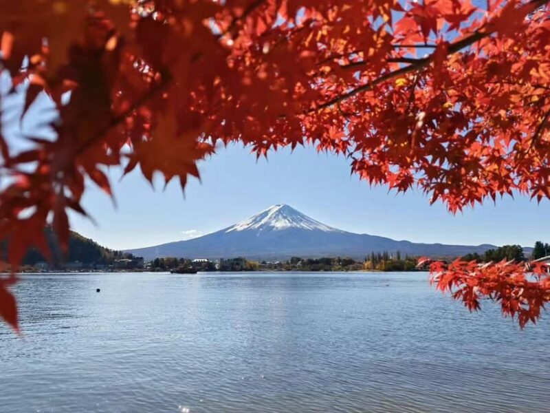 Tokyo: Private Day Trip to Mount Hakone and Lake Ashi - Scenic Attractions