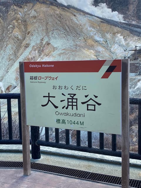 Tokyo: Private Day Trip to Mt. Fuji and Hakone With Guide - Customization and Flexibility