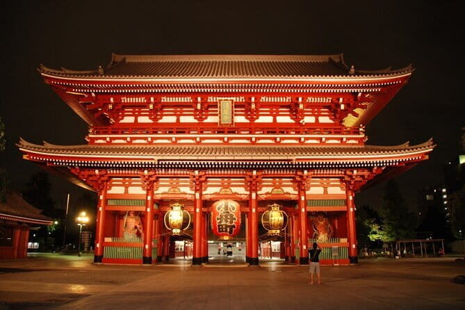Tokyo private Driving Tour by car/van English speaking chauffeur - Why a Private Driving Tour in Tokyo Makes Sense