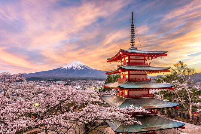 Tokyo private Driving Tour by car/van English speaking chauffeur - Transportation and Practicalities