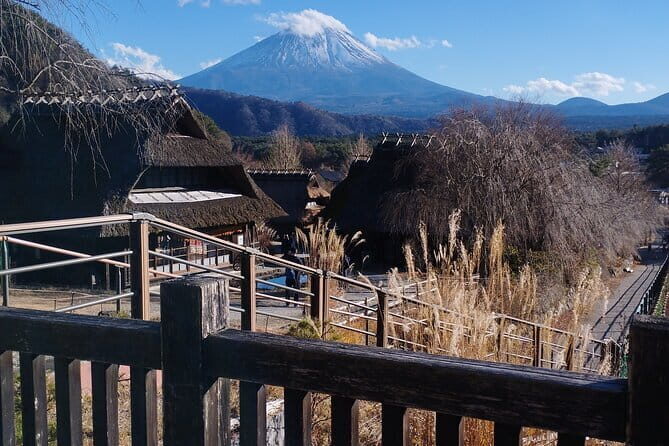 Tokyo private Driving Tour by car/van English speaking chauffeur - Who Will Enjoy This Tour?