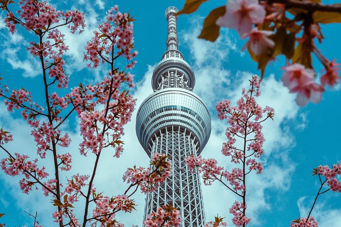 Tokyo Private Driving Tour by Car/Van- English Speaking Chauffeur - Comfortable and Convenient Transportation