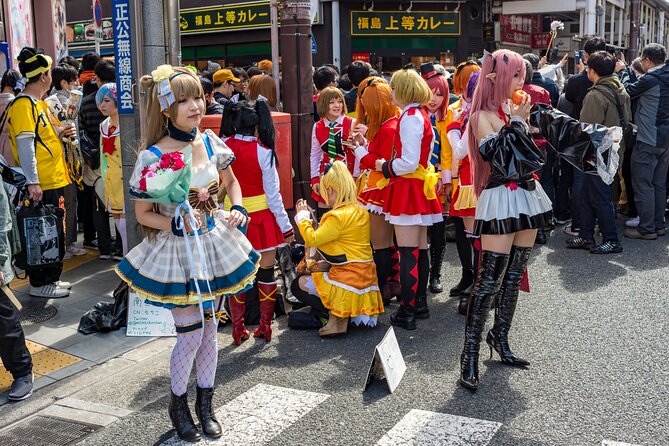 Tokyo Private Driving Tour by Car/Van- English Speaking Chauffeur - Pricing and Booking Information