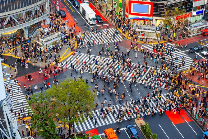 Tokyo Private Driving Tour by Car/Van - English Speaking Driver - Traveler Reviews and Recommendations