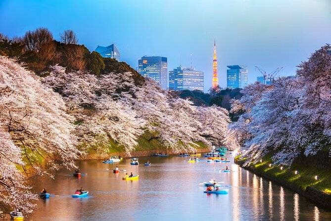 Tokyo Private Driving Tour by Car/Van With English Chauffeur - Taking in Local Culture and History