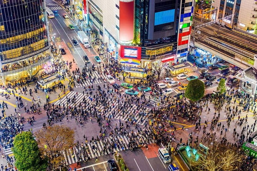 Tokyo: Private Full day Guided Tour with an English Driver - Key Points