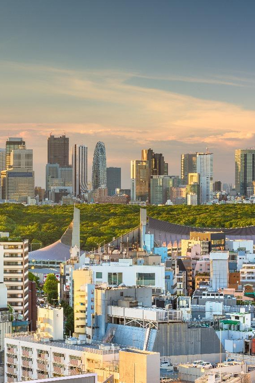 Tokyo: Private Full-Day Sightseeing Tour With English Driver - Important Information and Recommendations