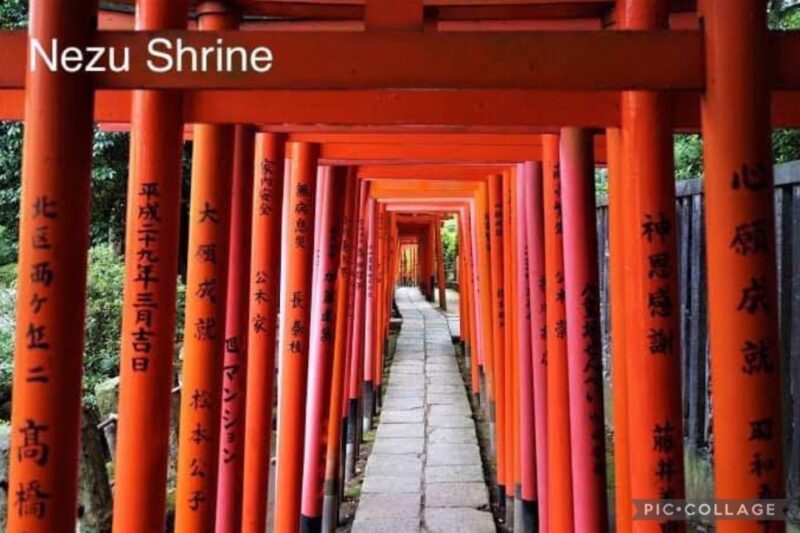 Tokyo: Private Full-Day Sightseeing Tour With Hotel Pickup - Key Points