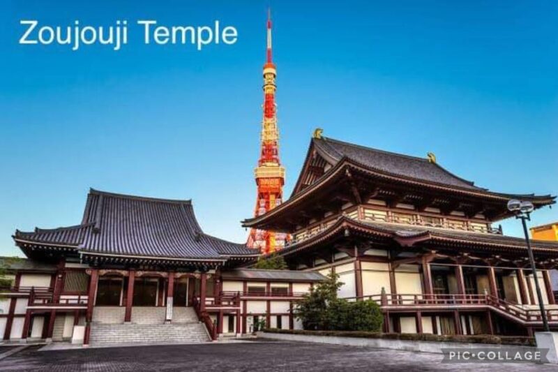 Tokyo: Private Full-Day Sightseeing Tour With Hotel Pickup - Shopping and Cultural Experiences
