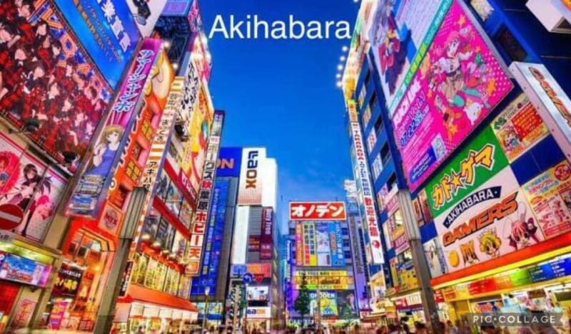 Tokyo: Private Full-Day Sightseeing Tour With Hotel Pickup - Inclusions and Exclusions
