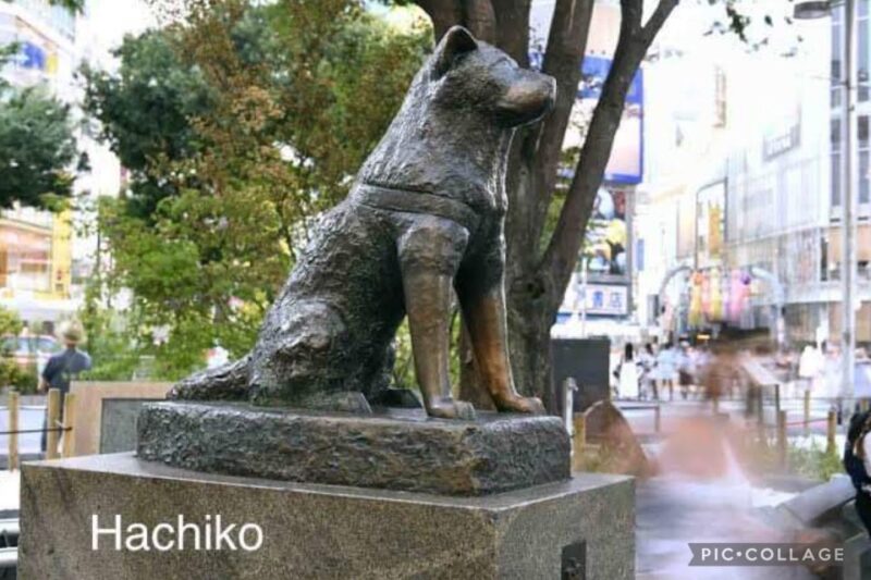 Tokyo: Private Full-Day Sightseeing Tour With Hotel Pickup - Frequently Asked Questions