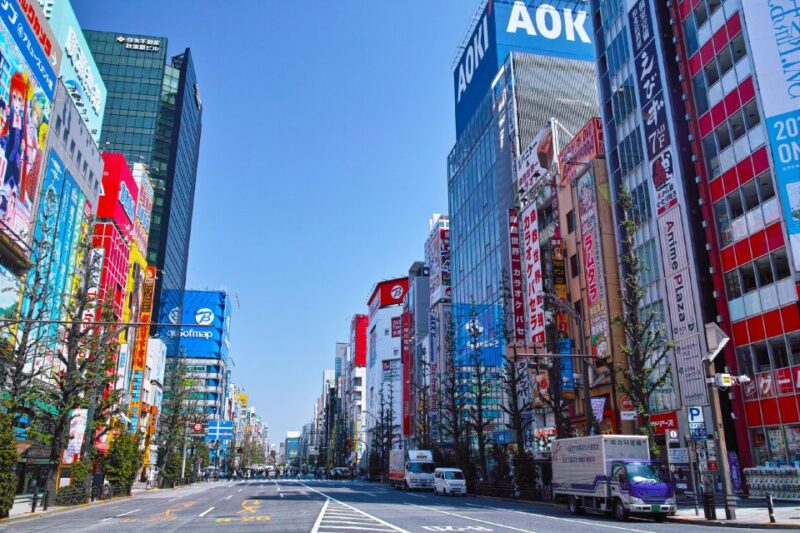 Tokyo: Private Full-Day Tour With Hotel Pickup - Cultural Immersion
