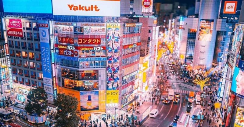 Tokyo: Private Guided Tour With Hotel Pick-Up and Drop-Off - Inclusions and Exclusions