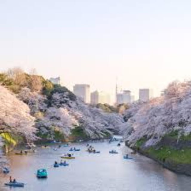 Tokyo: Private Guided Tour With Hotel Pickup and Drop-Off - Key Points