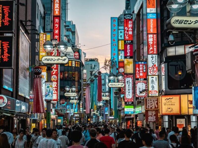 Tokyo: Private Guided Tour With Hotel Pickup and Drop-Off - Tour Highlights