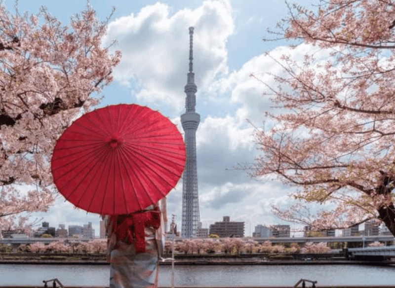 Tokyo: Private Guided Tour With Hotel Pickup and Drop-Off - Booking Process and Availability