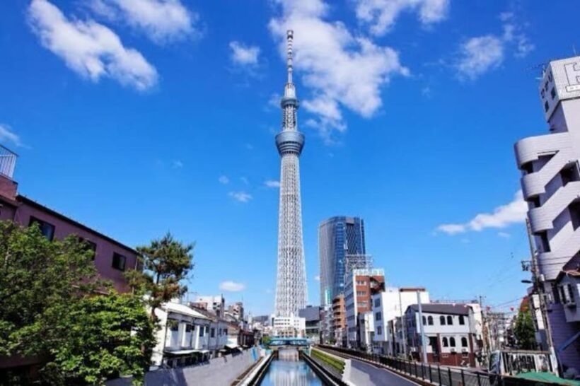 Tokyo: Private Guided Tour with Hotel Pickup and Drop-off - An Overview of the Private Tokyo Tour