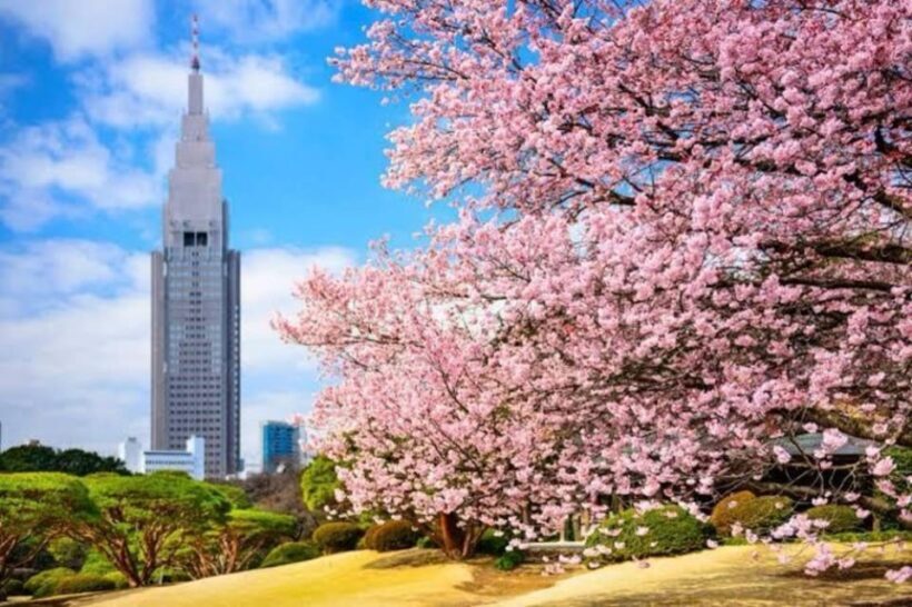 Tokyo: Private Guided Tour with Hotel Pickup and Drop-off - Who Is This Tour Best For?