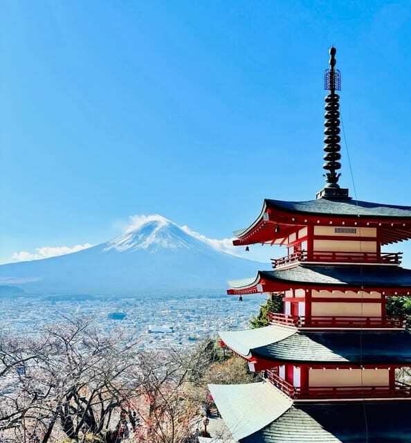 Tokyo: Private Half-Day Tour by Car with Local Guide - Key Points