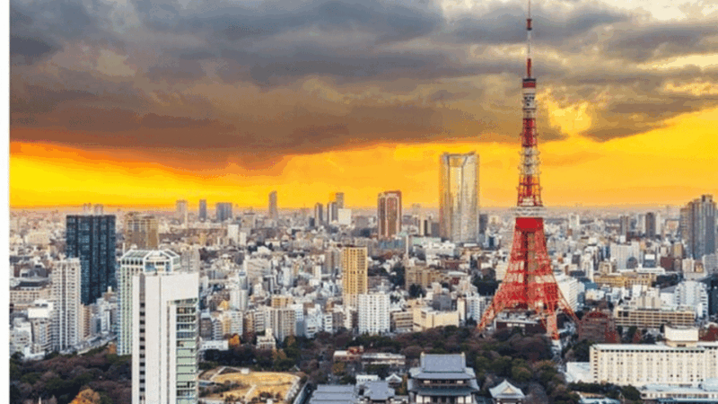 Tokyo: Private Instagramable Customised Tokyo City Day Tour - Key Points