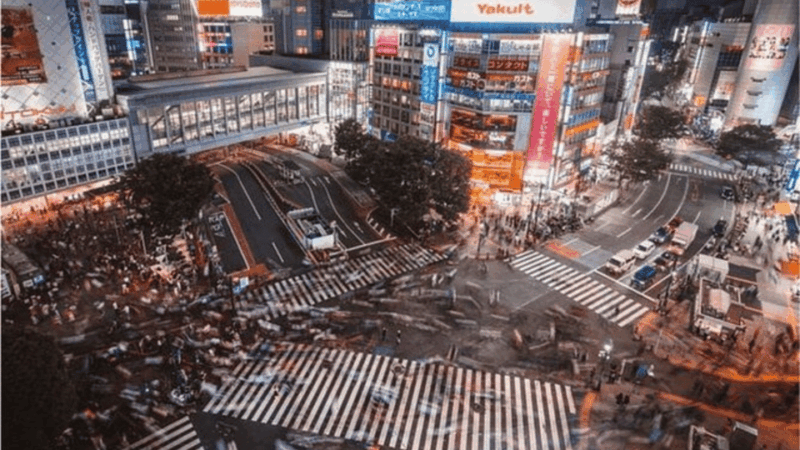 Tokyo: Private Instagramable Customised Tokyo City Day Tour - Transportation and Driver