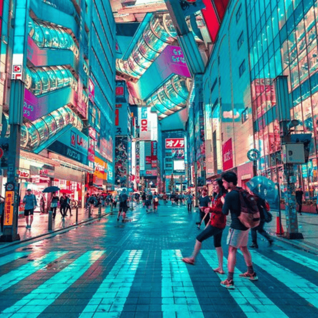 Tokyo: Private Instagramable Customised Tokyo City Day Tour - Important Information and Recommendations