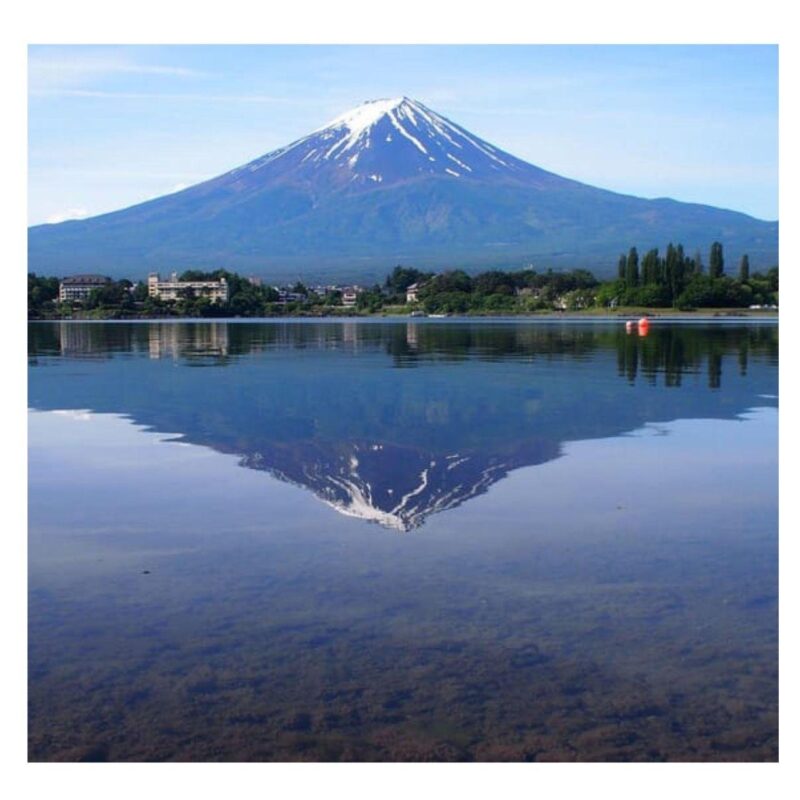 Tokyo: Private Instagramable Day Trip Mt Fuji & Five Lakes - Group Size and Accommodation