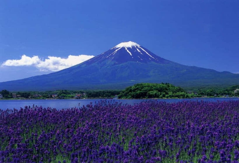 Tokyo : Private Luxury Tour To Mt Fuji With English Speaker - The Value of This Tour