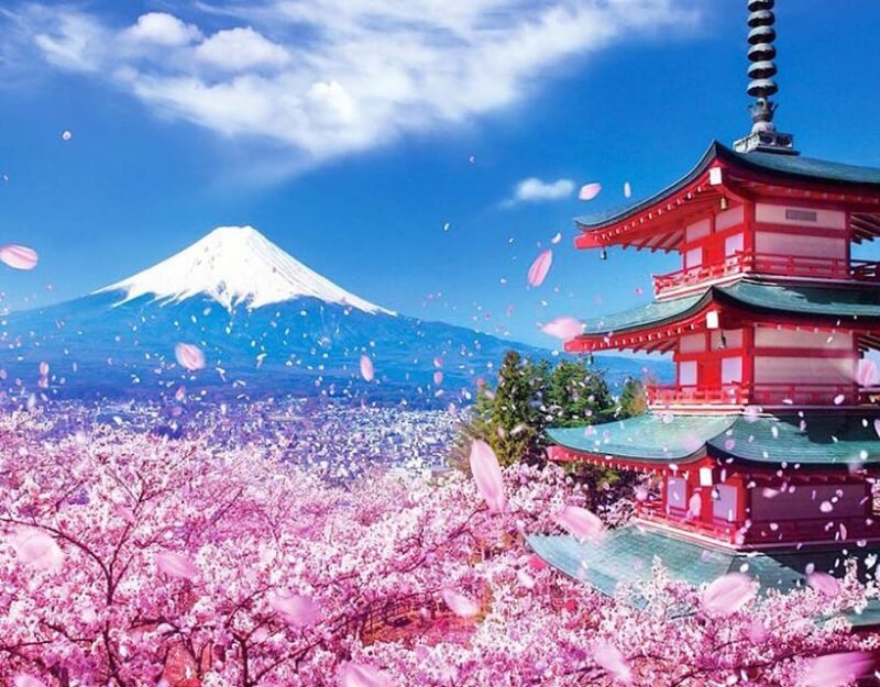 Tokyo: Private Mount Fuji and Hakone Day Trip With Guide - Tour Features