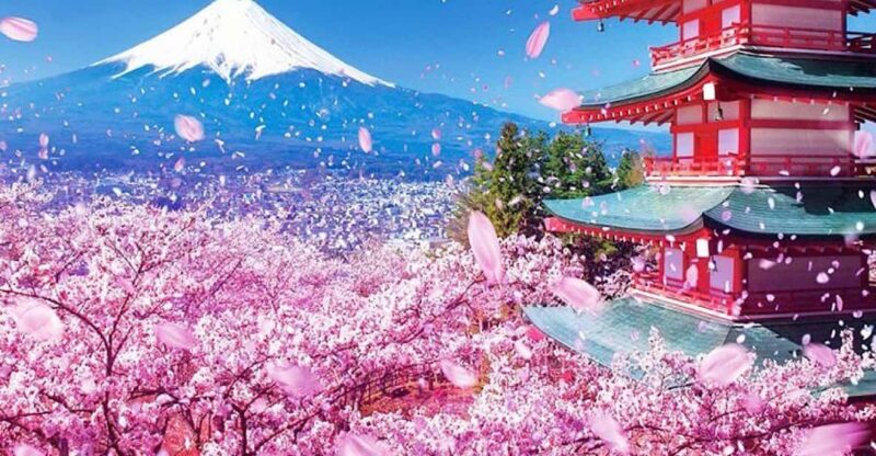 Tokyo: Private Mount Fuji and Hakone Day Trip With Guide - Customer Feedback