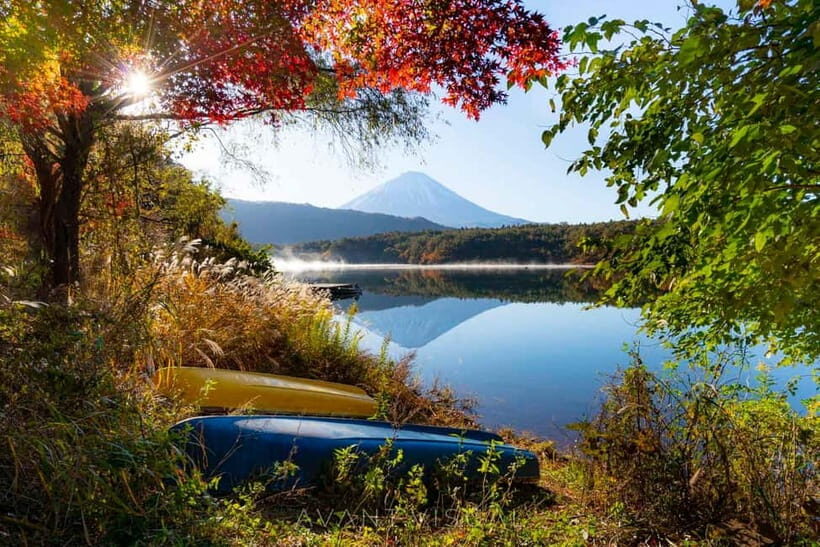 Tokyo: Private Mount Fuji Custom 5 Lakes Tour English Driver - The Itinerary: What to Expect