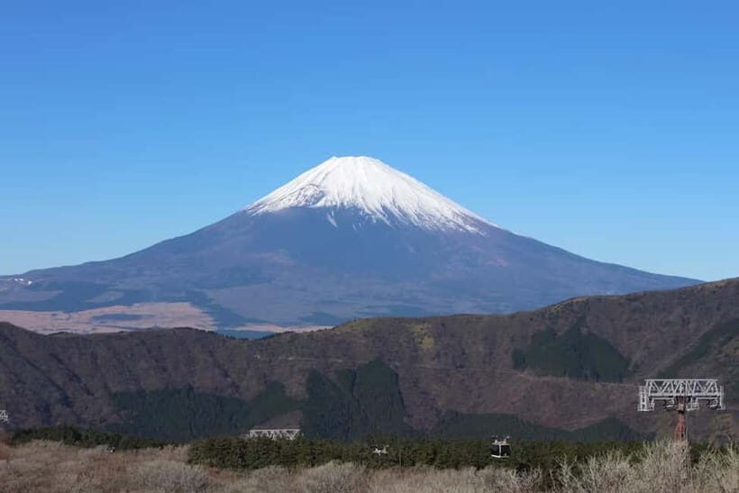 Tokyo: Private Mount Fuji Day Trip with Private Guide - Exploring the Day Trip Itinerary in Detail