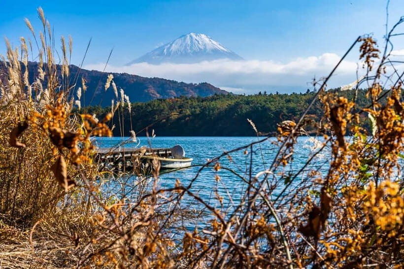 Tokyo: Private Mount Fuji Day Trip with Private Guide - Authenticity, Views, and Timing